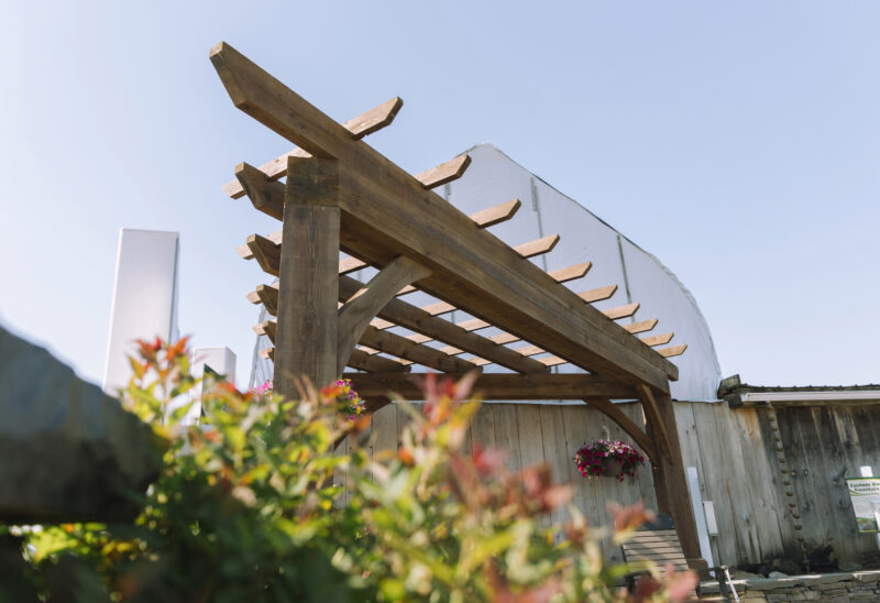 The Triangular Pergola - Pencroft