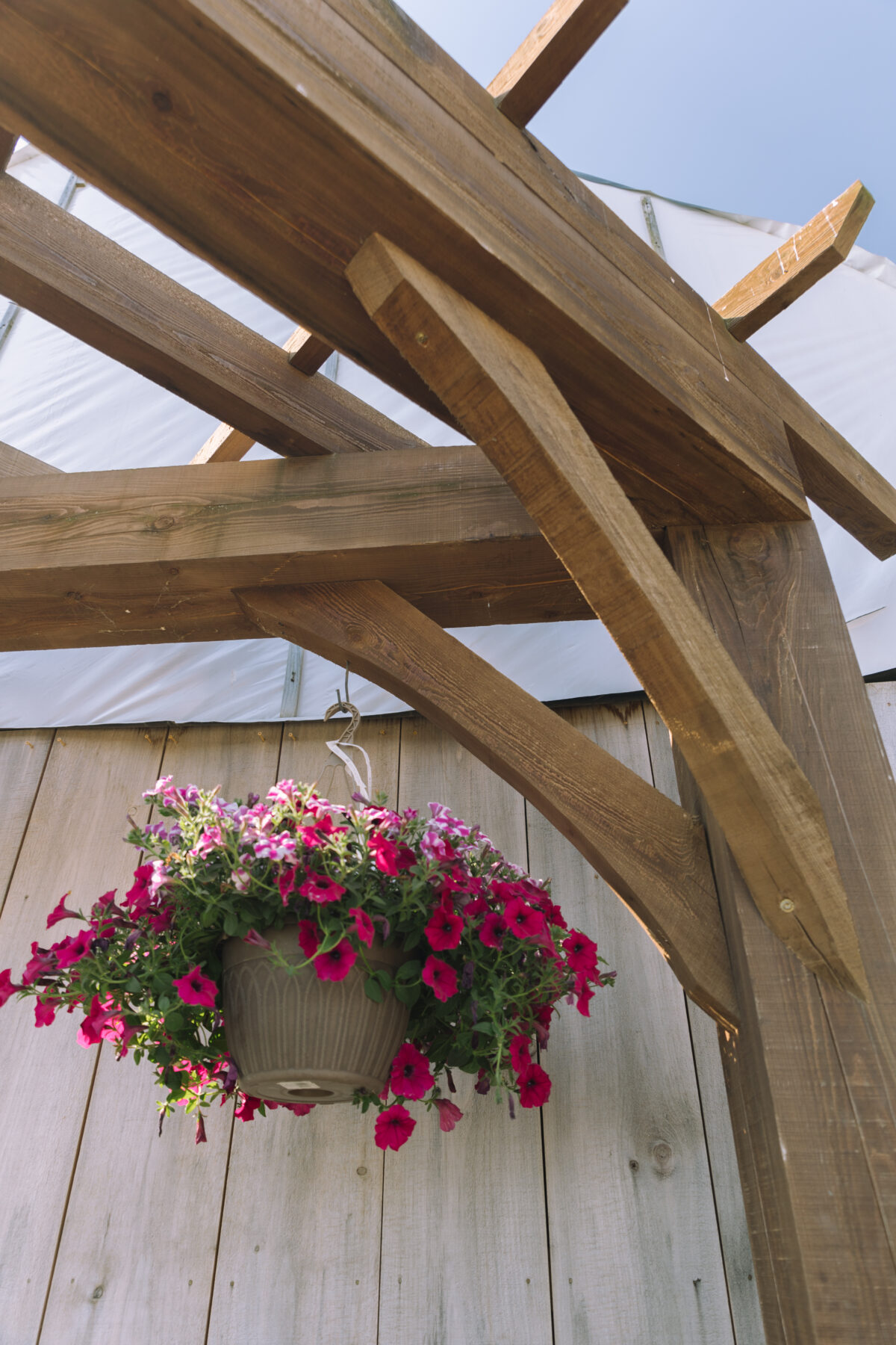 The Triangular Pergola - Pencroft
